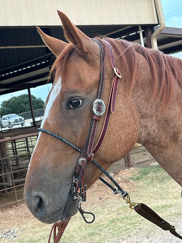 Fast Back Tie Down – Fast Back Ropes