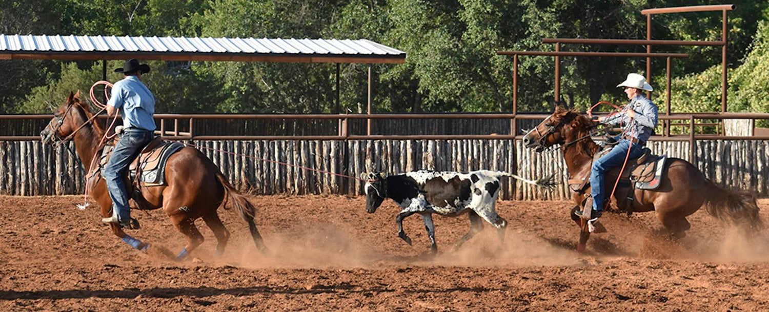 Fast Back Ropes, Inc.