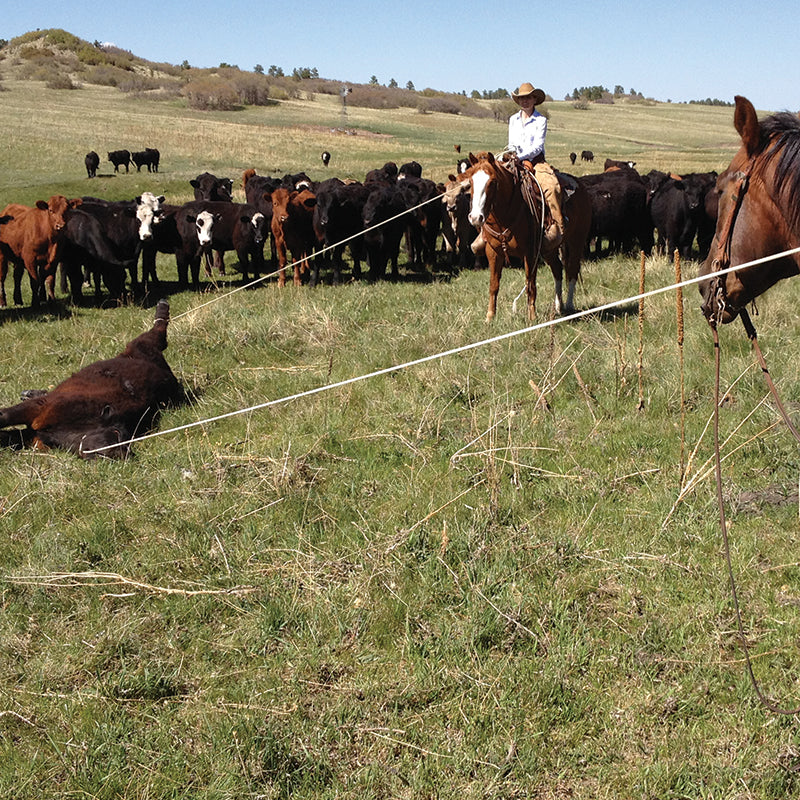 Fast Back Ropes, Inc.